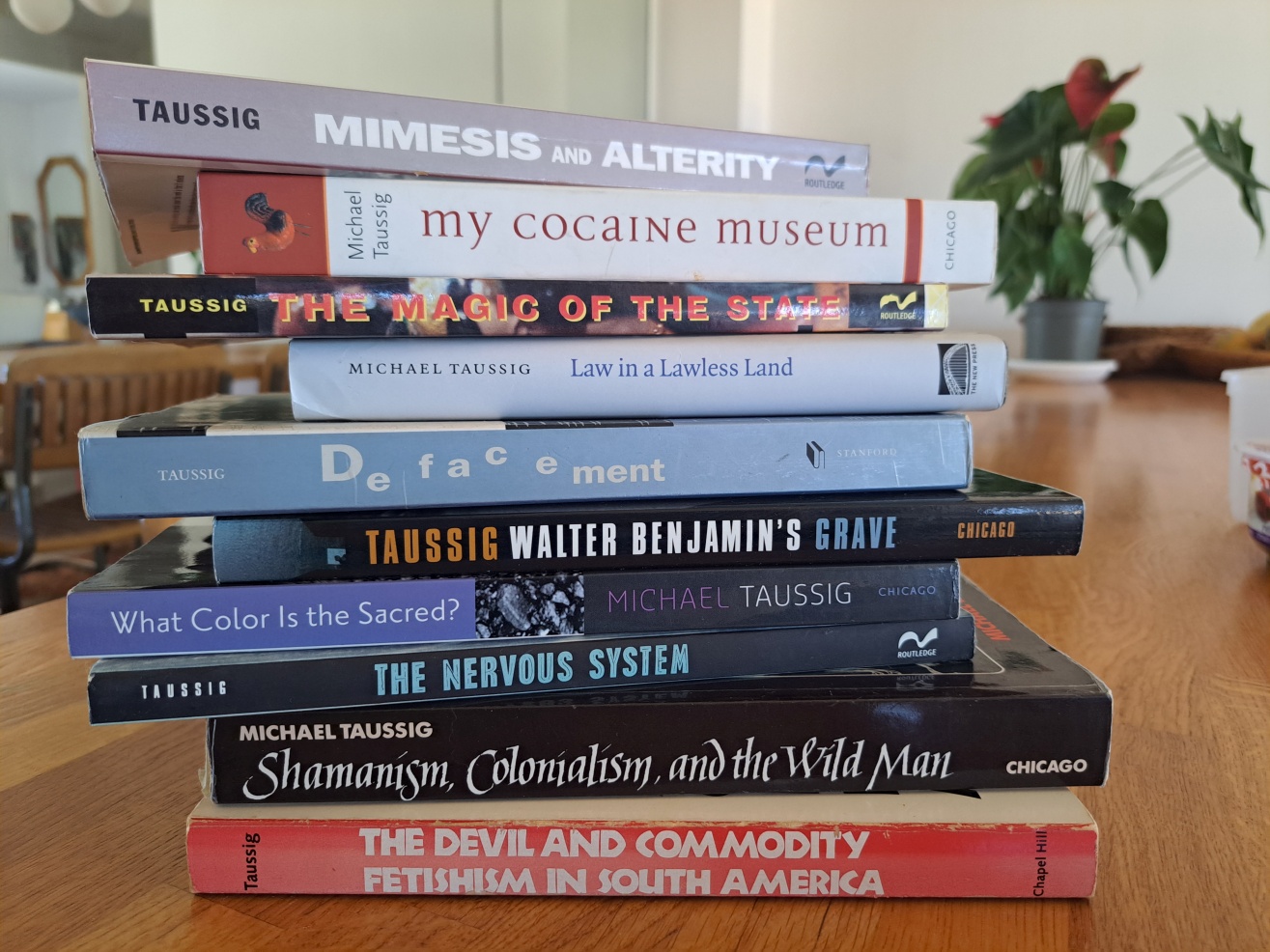 In Anticipation of a Special Guest: Michael Taussig (Professor Emeritus ...